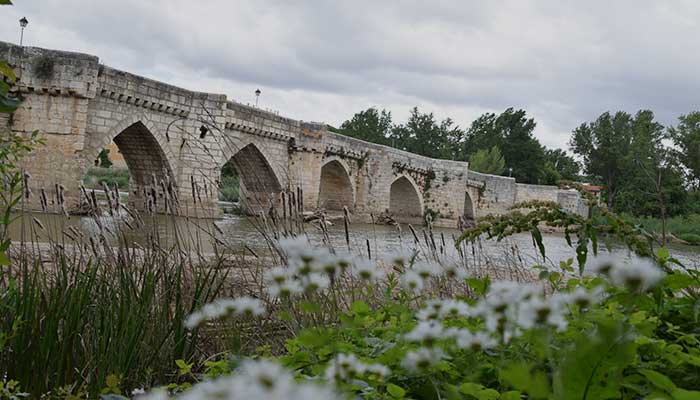 La batalla de Simancas - Web Oficial del Ayuntamiento de Simancas